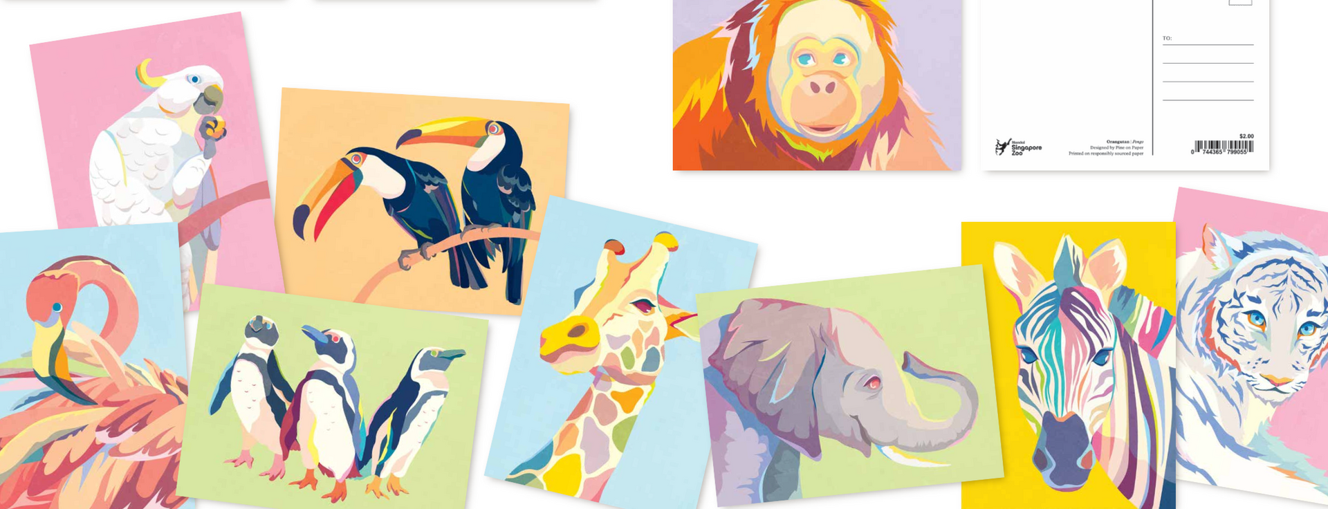 Pine On Paper Studio